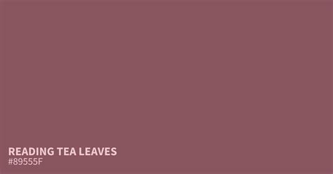 89555f Hex Color Shades And Complementary Colors