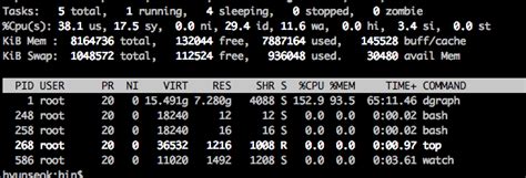 what is the expected behavior of dgraph server memory mb users