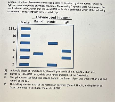 Solved Copies Of A Linear Dna Molecule Were Subjected To
