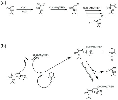 Reversible Polymerization In Copper Mediated Polymerization Systems