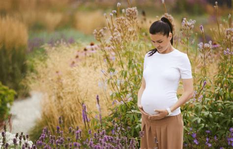 The First Time Moms Pregnancy Handbook Twiniversity