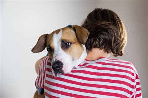 安易に考えてはいけない犬の安楽死～後悔のない選択を～｜犬を育てる｜ぷにぷにpaw（ポー）