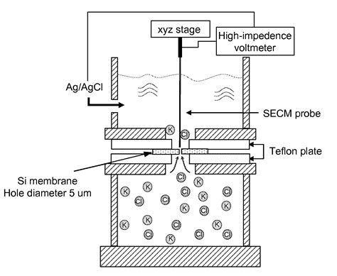 Nanopore Based Ion Selective Electrodes Eureka Patsnap