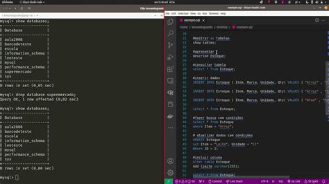 Como Rodar Scripts Sql No Mysql Passo A Passo Prático Youtube
