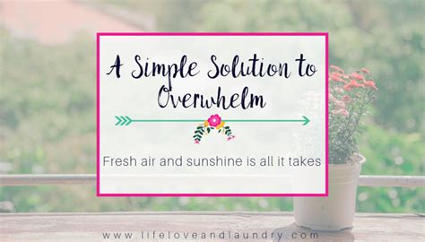 Life Love And Laundry Simple Solutions To End Daily Overwhelm