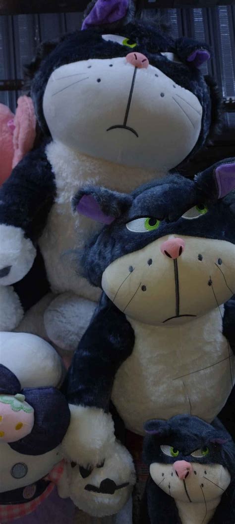 Gato Lucifer Peluche Gatito Renegón Enojado Gato Importado Antialérgico