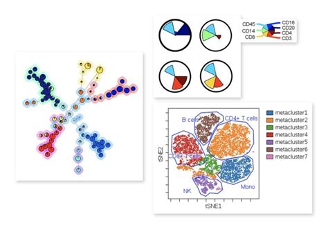 How To Choose The Best Flow Cytometry Analysis Software