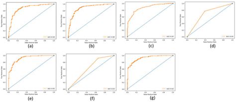 Deep Learning And Expert Knowledge Based Feature Extraction And Performance Evaluation In