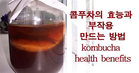 콤부차 효능 부작용 영양성분 다이어트후기 만드는 방법 푸드디비