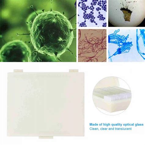 20 Piece Set Of Microbiological Bacterial Specimens Biology Microscope Slides For Uk Schools