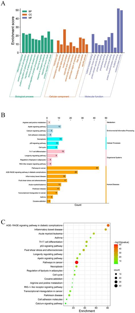A Histogram Of Go Functional Enrichment Analysis B Classification Download Scientific