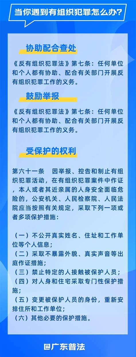 必读！一图了解《反有组织犯罪法》澎湃号·政务澎湃新闻 The Paper