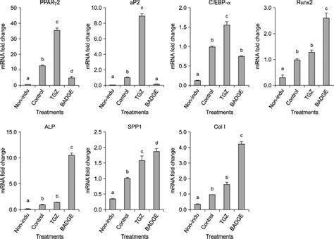 Gene Expression Of Osteoblast And Adipocyte Markers In Download