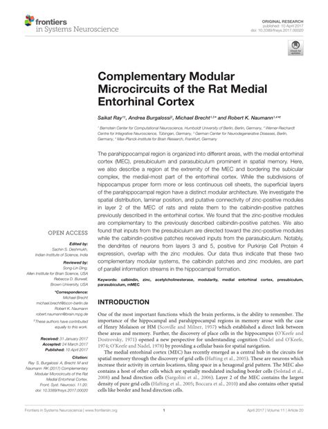 Pdf Complementary Modular Microcircuits Of The Rat Medial Entorhinal