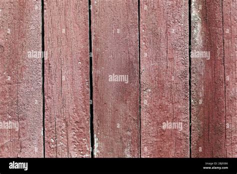 Wood Tree Texture Background Stock Photo Alamy