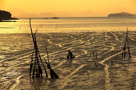 가고 싶은 섬 전라남도 섬발전지원센터입니다 우리나라의 갯벌이 유네스코 세계유산으로 등재됐습니다