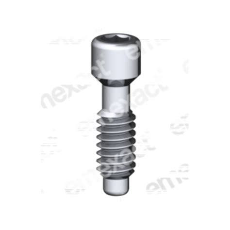 Tornillo M2 125 He Dent Thel