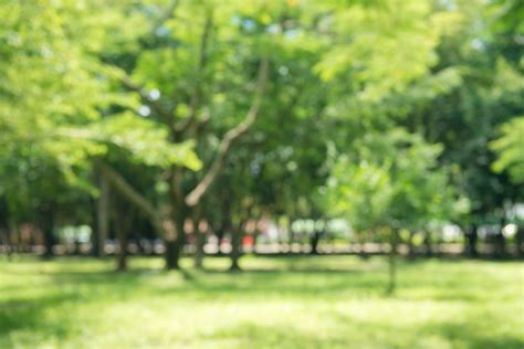 Bokeh 태양 빛 추상 배경으로 자연 녹색 공원을 흐리게 여행 모험과 환경 개념의 공간을 복사합니다 빈티지 톤 필터 색상