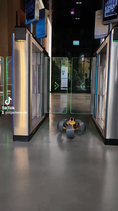 Ukrainerobotics On Linkedin Stem Robots Hexapod 12 Comments