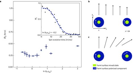 Spin Echo Signals In The Strongly Interacting Regime A Transverse