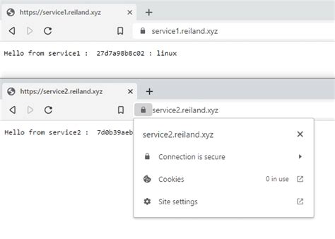 Deploying Multi Domain Applications In A Single Host With Docker And Nginx