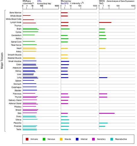 Mrtfb Gene Genecards Mrtfb Protein Mrtfb Antibody
