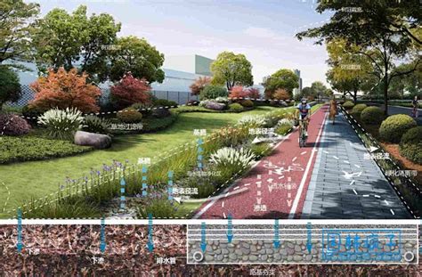 Wb106道路景观市政大道绿化街区沿线改造品质提升方案规划文本 淘宝网