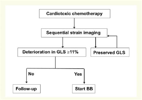 Proposed Algorithm To Guide Cardioprotective Therapy Based On