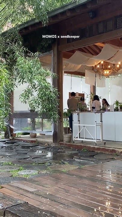 씨드키퍼 X 모모스커피 팝업 Youtube