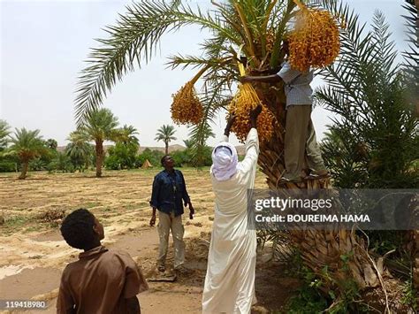 Dabaga Niger Photos And Premium High Res Pictures Getty Images