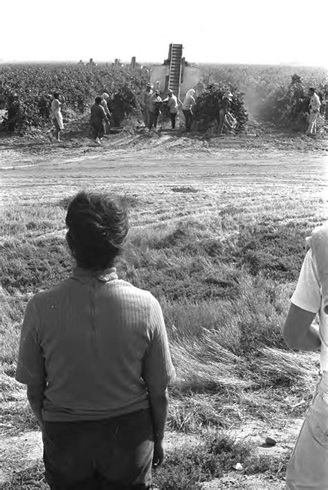 Perelli Minetti Strike Begins Farmworker Movement