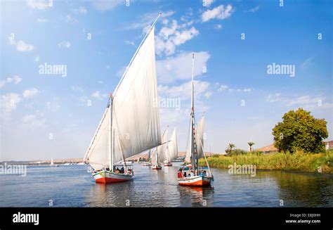 Number Of Flucca Boats In The Afternoon Nile Ride At The City Of Aswan South Of Egypt Stock