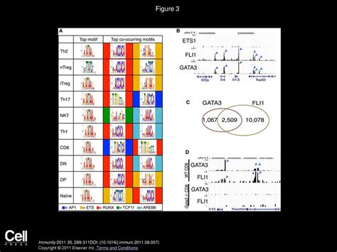 Volume 35 Issue 2 Pages August 2011 Ppt Download