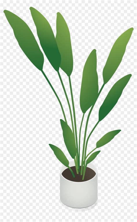 20 Free Isometric Interior Plants For Architecture Indoor Plants
