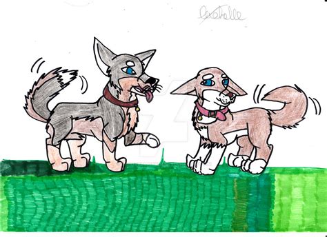 I Like You Ruby Ace X Ruby Breeding Picture By Countryhavenkennels On Deviantart