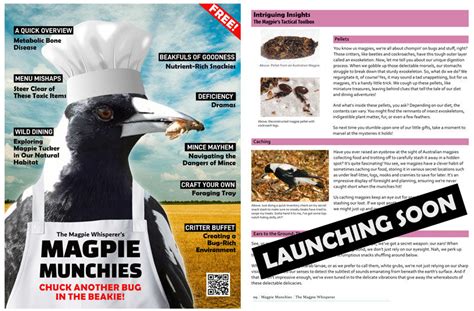Magpie Munchies Free Ebook Launching Soon The Magpie Whisperer