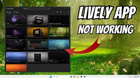 fix lively wallpaper app not working or opening in windows 10 11 new