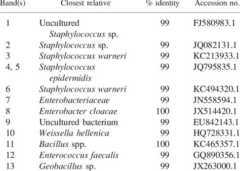 Identification Of The Bands Excised From Dna Dgge Gels Download Table