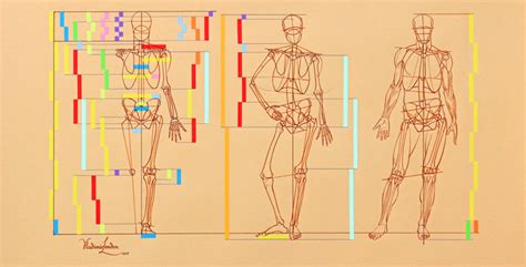 How To Draw Accurate Proportions When Figure Drawing Drawing Academy