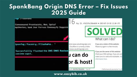 Spankbang Origin Dns Error Fix Issues 2025 Guide