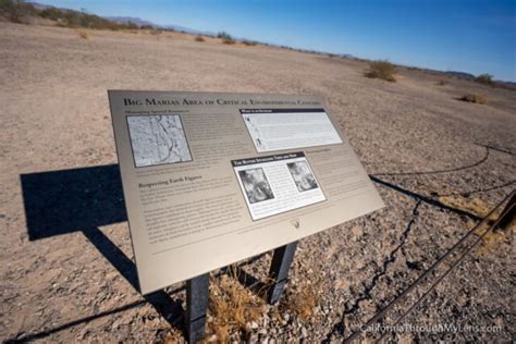 Blythe Intaglios Native American Geoglyphs In The California Desert