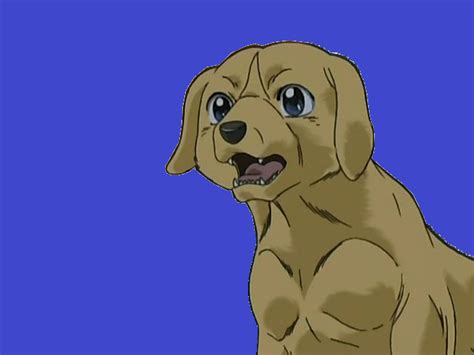 Ginga Anime Mel From The Opening By Steeleaddict On Deviantart