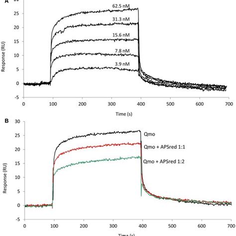 Analysis Of Pull Down Assay Strep Tactin Desthiobiotin Elution Download Scientific Diagram