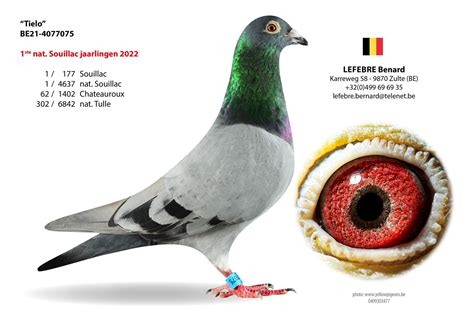 Bernard Lefebre From Zulte Had A Super Season 2022