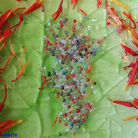 新品熱賣釋迦牟尼佛彩色舍利子 快速增生 結緣200顆 結緣閣 蝦皮購物
