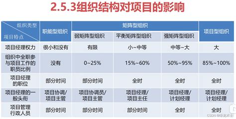信息系统项目管理基础强矩阵项目管理 Csdn博客