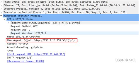 Wireshark Ts 网络数据包角度看 Log4jlog4j流量特征 Csdn博客