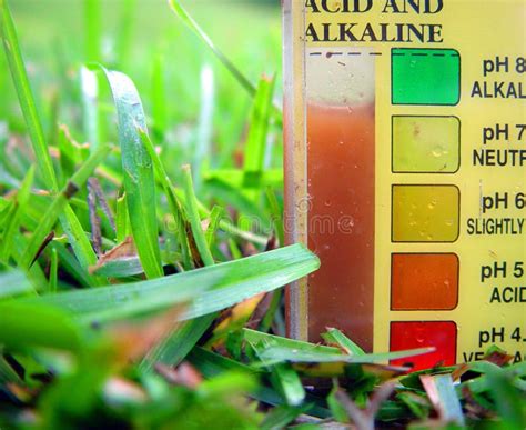Soil Test Stock Image Image Of Lawn Growth Testing 1631791