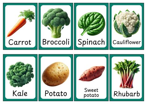 24 Vegetable Flashcards Free To Print Teach Prints