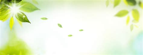 Ppt